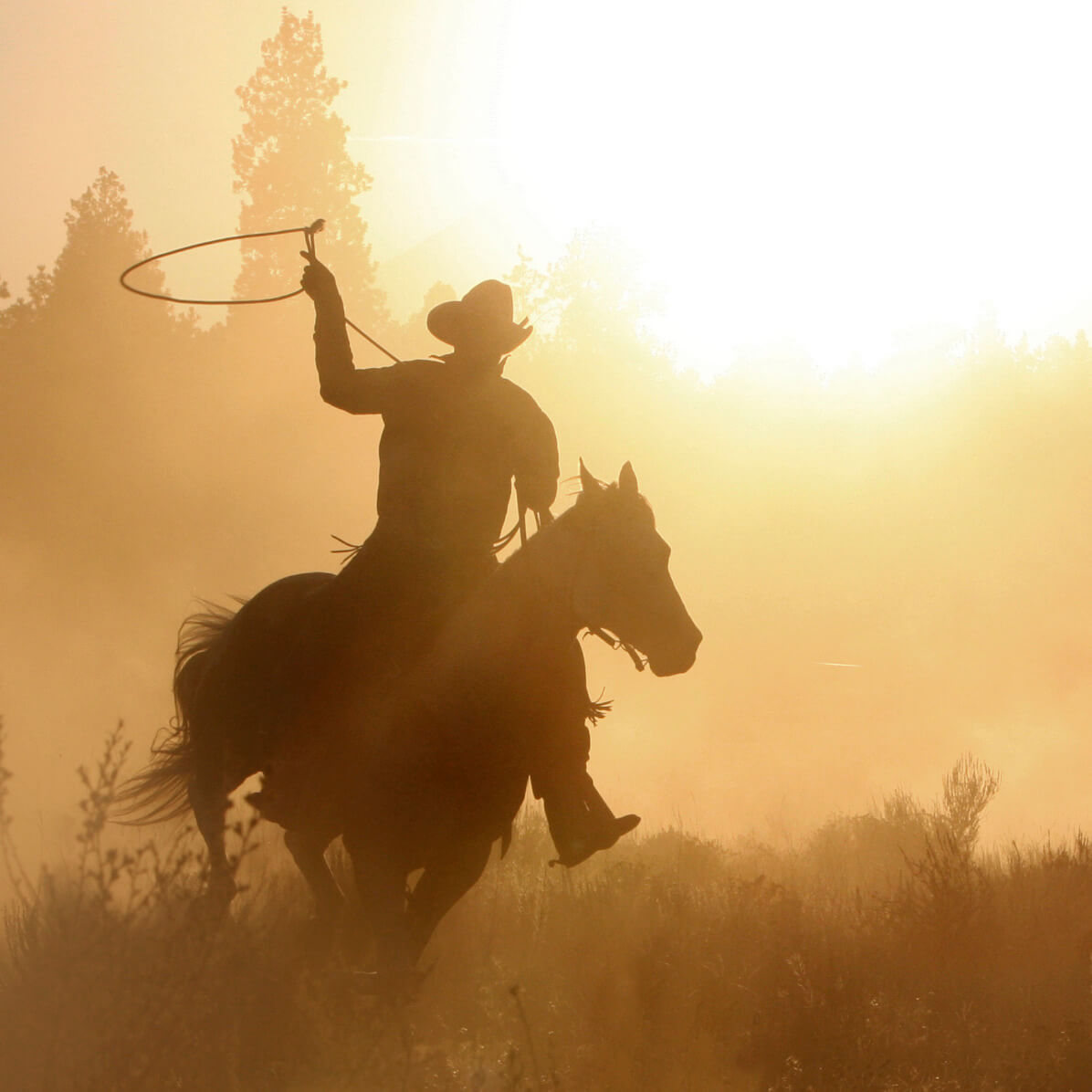 The Timeless Appeal of Western and Cowboy Gloves: A Perfect Blend of S ...